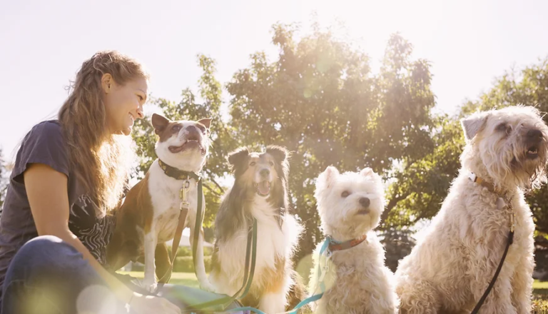 Organic Tick Control Services in NJ & PA | Tick Tackler