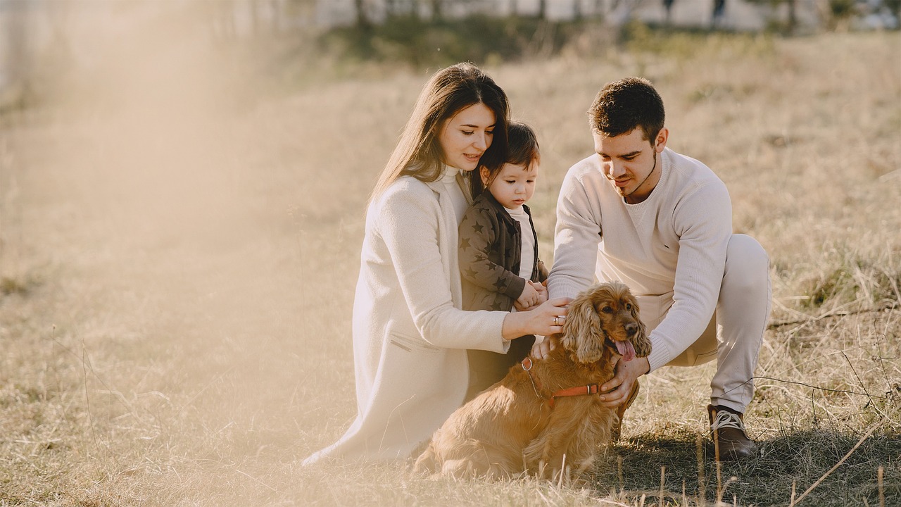 Organic Tick Control Services in NJ & PA | Tick Tackler
