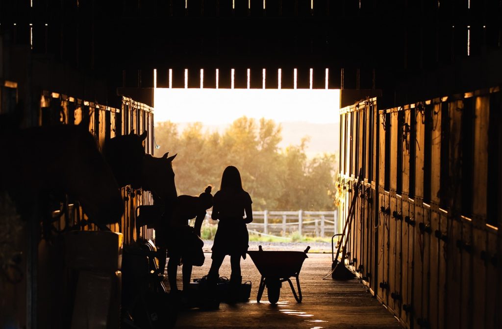 Organic Tick Control Services in NJ & PA | Tick Tackler